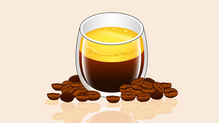 What Is a Lungo Coffee: How It Differs from a Regular Espresso – CAFELY